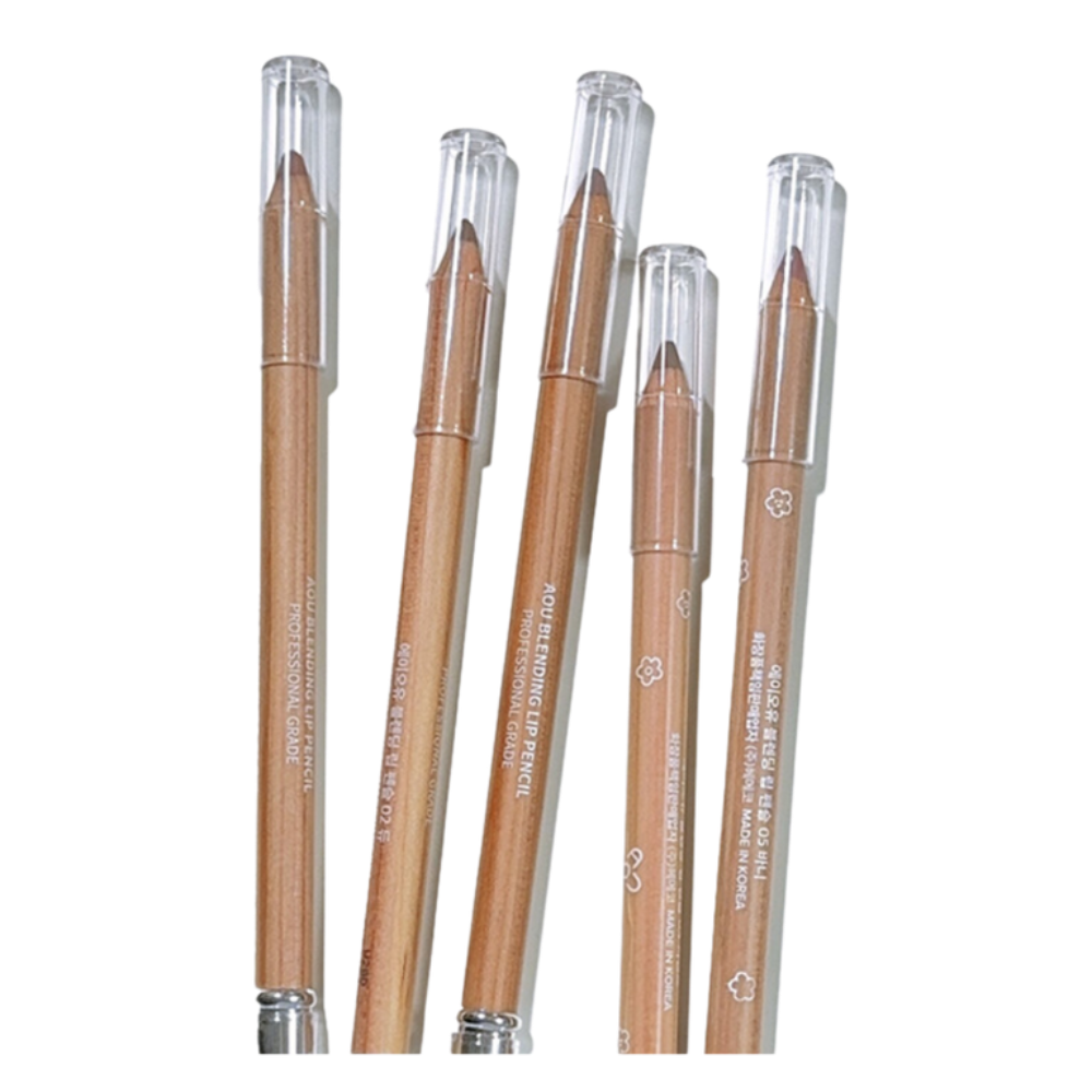 AOU Blending Lip Pencil 1.6g 5 Colors | KBEAUTY X – KBX